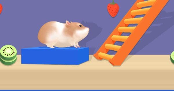 Hamster Maze Online | Play Games 365 Free Online