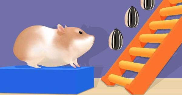 Hamster Stack Maze | Play Games 365 Free Online