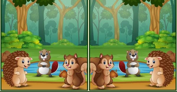 Spot The Differences Forests | Play Games 365 Free Online