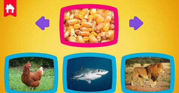 ¿Qué Comen Los Animales | Jugar What Do Animals Eat | Juegos ...